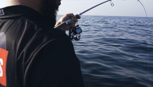 Certate LT Ark – Daiwa Australia
