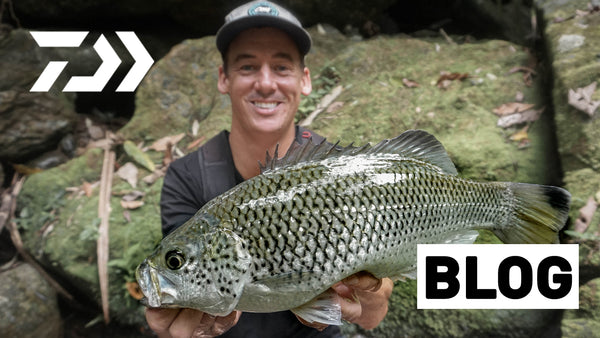 How to Catch Jungle Perch – Daiwa Australia
