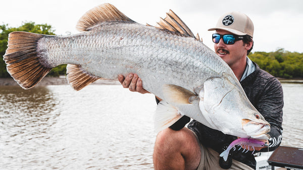 How to Catch Saltwater Barramundi: a beginner’s guide – Daiwa Australia
