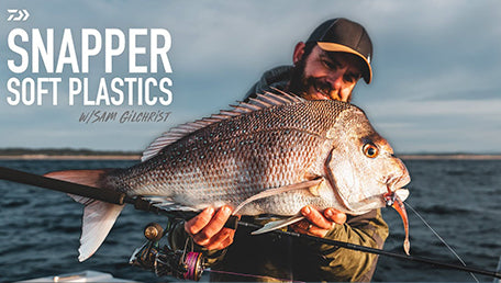 Snapper on Soft Plastics – Daiwa Australia