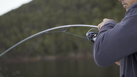 TD Zero – Daiwa Australia