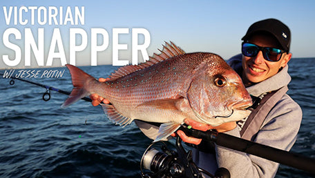 How To Catch Snapper with Bait – Daiwa Australia