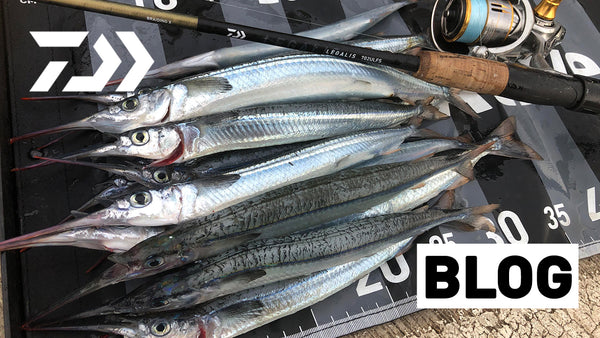 How to Catch Garfish: A Complete Guide – Daiwa Australia