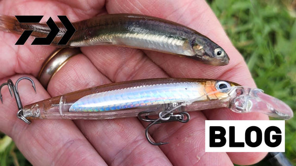 Product Review: Infeet Sazanami – Daiwa Australia