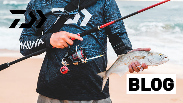 How to Catch Tailor: A Complete Guide – Daiwa Australia