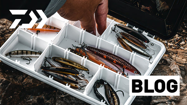 Product Review: Daiwa D-Box – Daiwa Australia