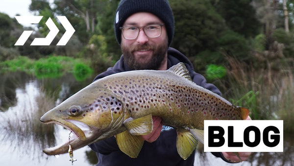 Product Review: SilverCreek Spinner and SilverCreek Inline Spinner SS ...