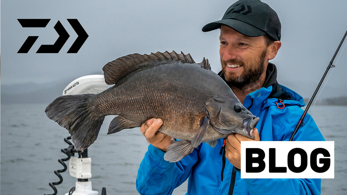 How to catch sooty grunter: A complete guide – Daiwa Australia