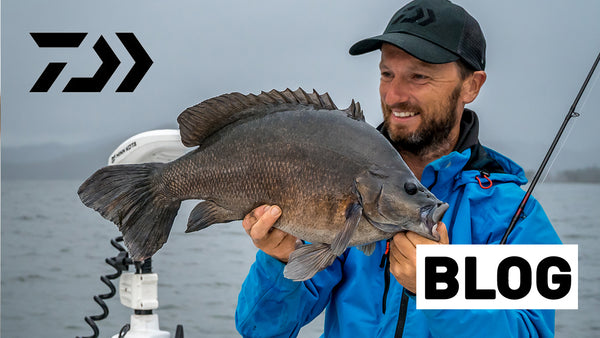 How to catch sooty grunter: A complete guide – Daiwa Australia