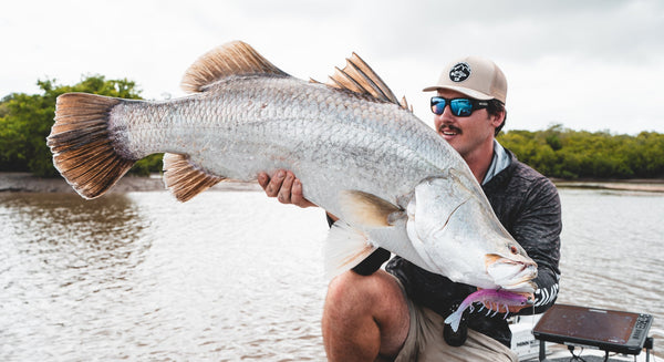 Barra Season Opening – Daiwa Australia