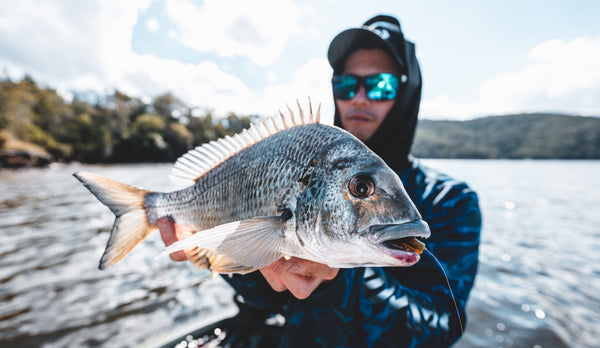 Yellowfin Bream Tackle – Daiwa Australia