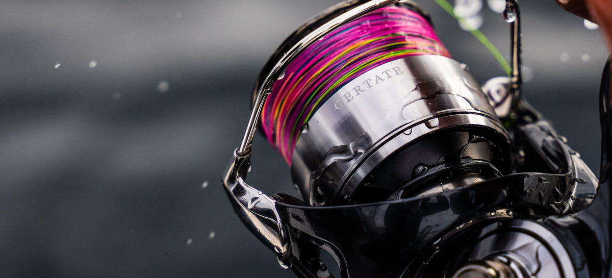 Certate Series – Daiwa Australia