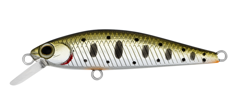 Fishing Lures | Discover The Best Lures – Daiwa Australia