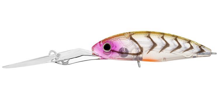 INFEET SPIKE 53EXDR – Daiwa Australia